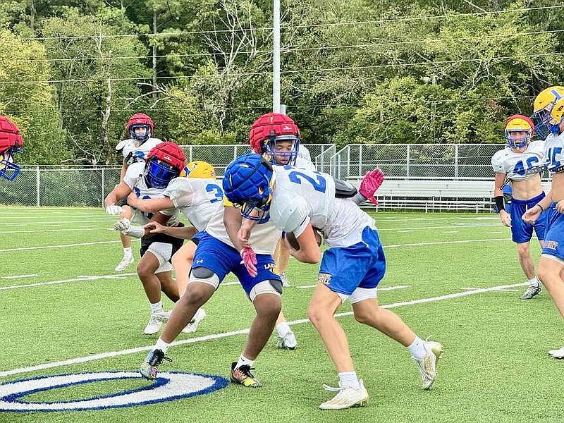 Rams take balanced team on the road against Hope | Hot Springs Sentinel ...