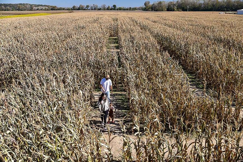 Smiles abound at Fischer Farm | Fulton Sun