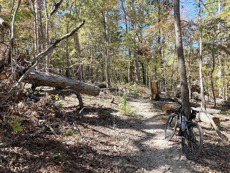 Two Hobbs’ trails reopen, but tornado damage obvious | Westside Eagle ...