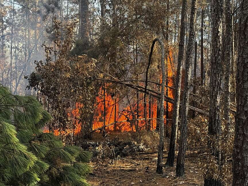 Bearden Hwy 79 fire rekindled Tuesday | Camden News