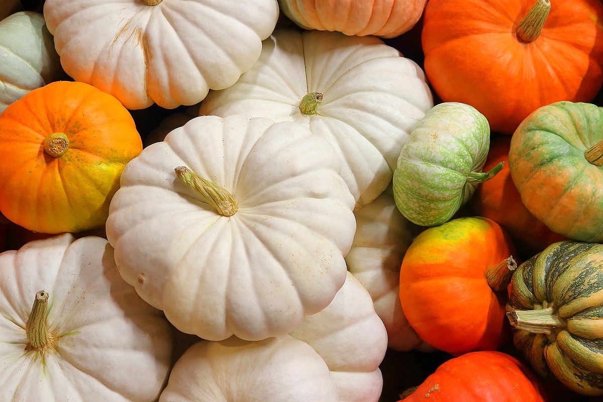 Get into the spirit of fall with these fun festivities | Hot Springs ...