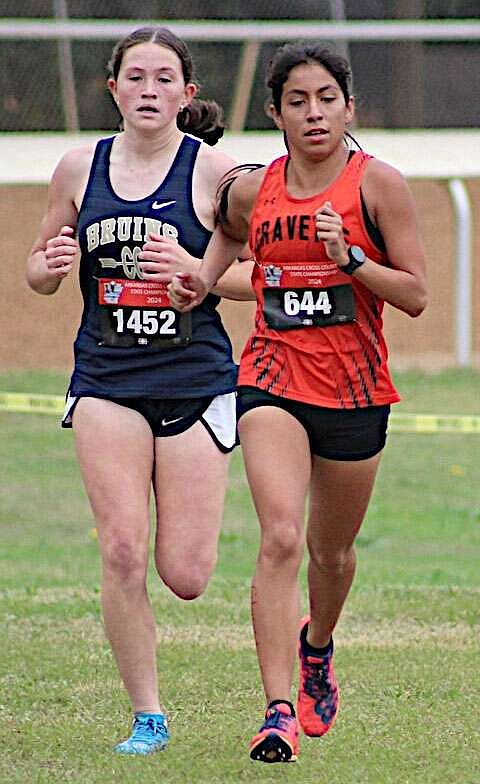 Gravette cross country teams finish strong | Westside Eagle Observer