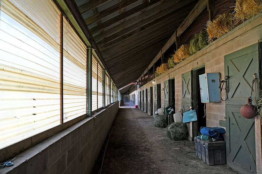 Peace of mind: Wi-Fi in barns offers extra level of security | Hot ...