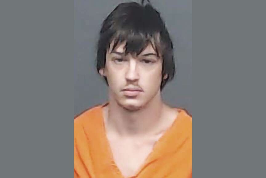 Hearing reset for man charged with 12 counts of animal cruelty ...