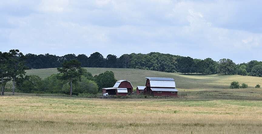 More adults in rural America dying from cardiovascular diseases ...