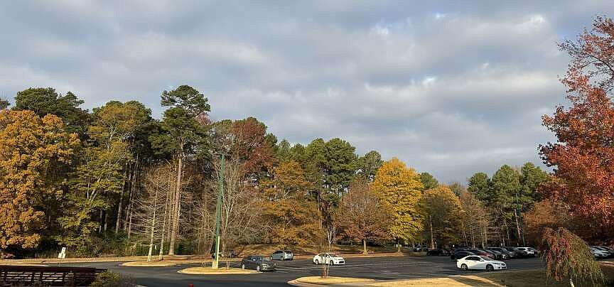 End is at hand for colorful fall leaves | Pine Bluff Commercial News