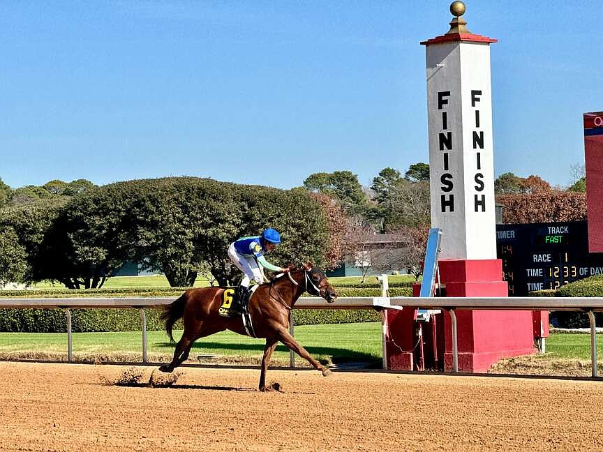 WATCH | A look into the races from a jockey’s perspective | Hot Springs ...