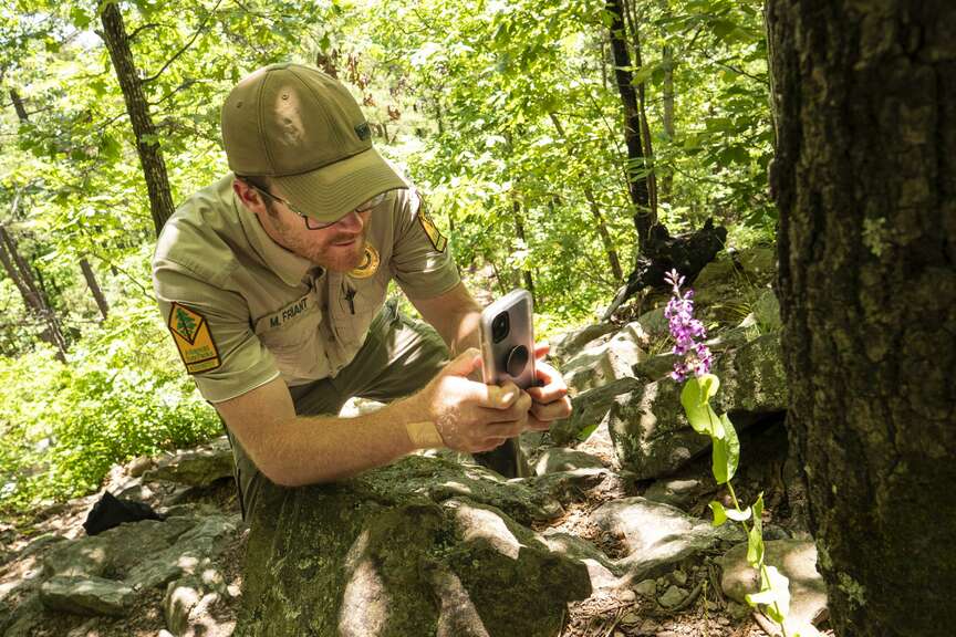 STATE PARKS SPOTLIGHT: Pinnacle Mountain State Park offers picnickers, hikers and bikers ample ...