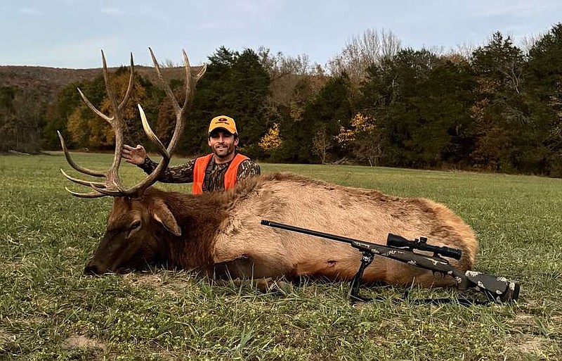 20 elk harvested during state’s 2024 season | Northwest Arkansas ...