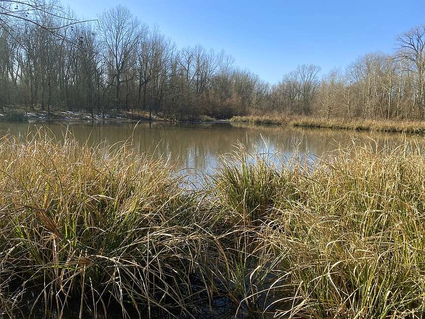 WATCH | Mike Huckabee Delta Rivers Nature Center never disappoints ...