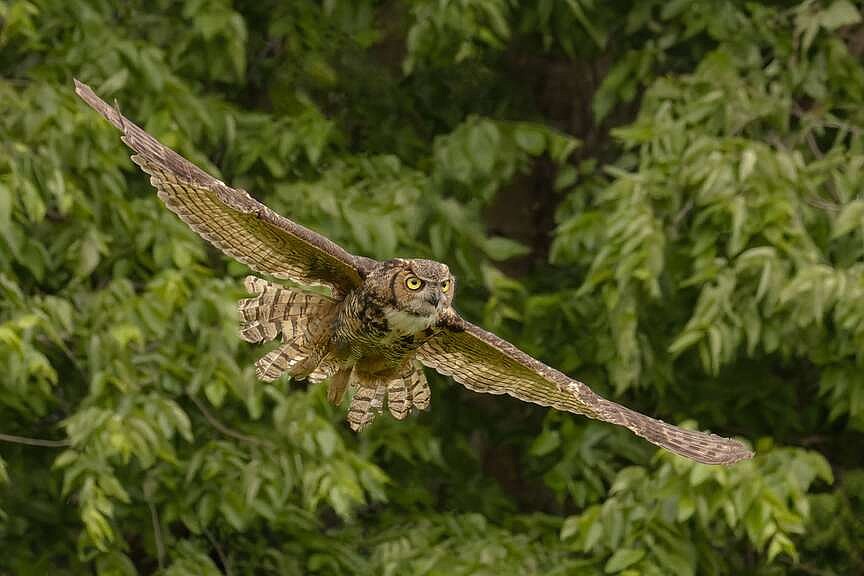 Photographer keeps autism in proper focus | The Herald Leader