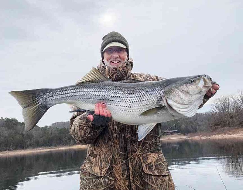 Small lure attract bigger bass at Beaver Lake | Northwest Arkansas ...