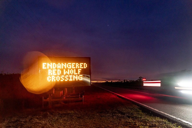 North Carolina wildlife crossing will save people: Can it save the last ...