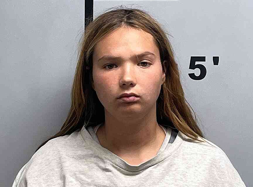 Rogers mother pleads not guilty to attempting to sell baby for $1,000 ...