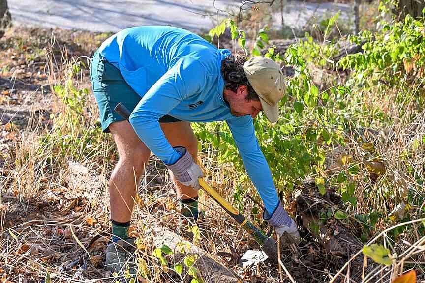 Wanted: Invasive plants; Fayetteville puts a ‘bounty’ on certain ...