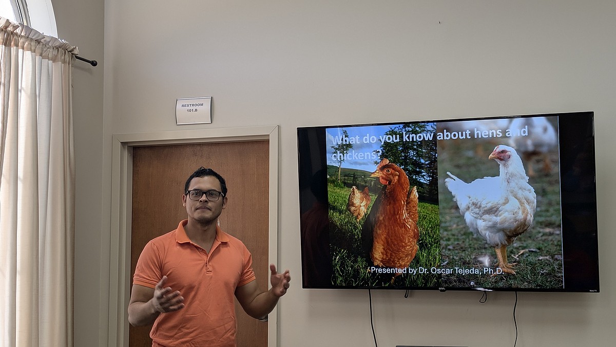 Lessons in Homesteading: Getting the most out of your chickens ...