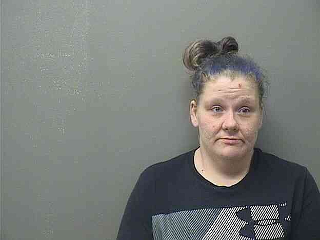 Alleged license plate light violation leads to two felony drug arrests ...