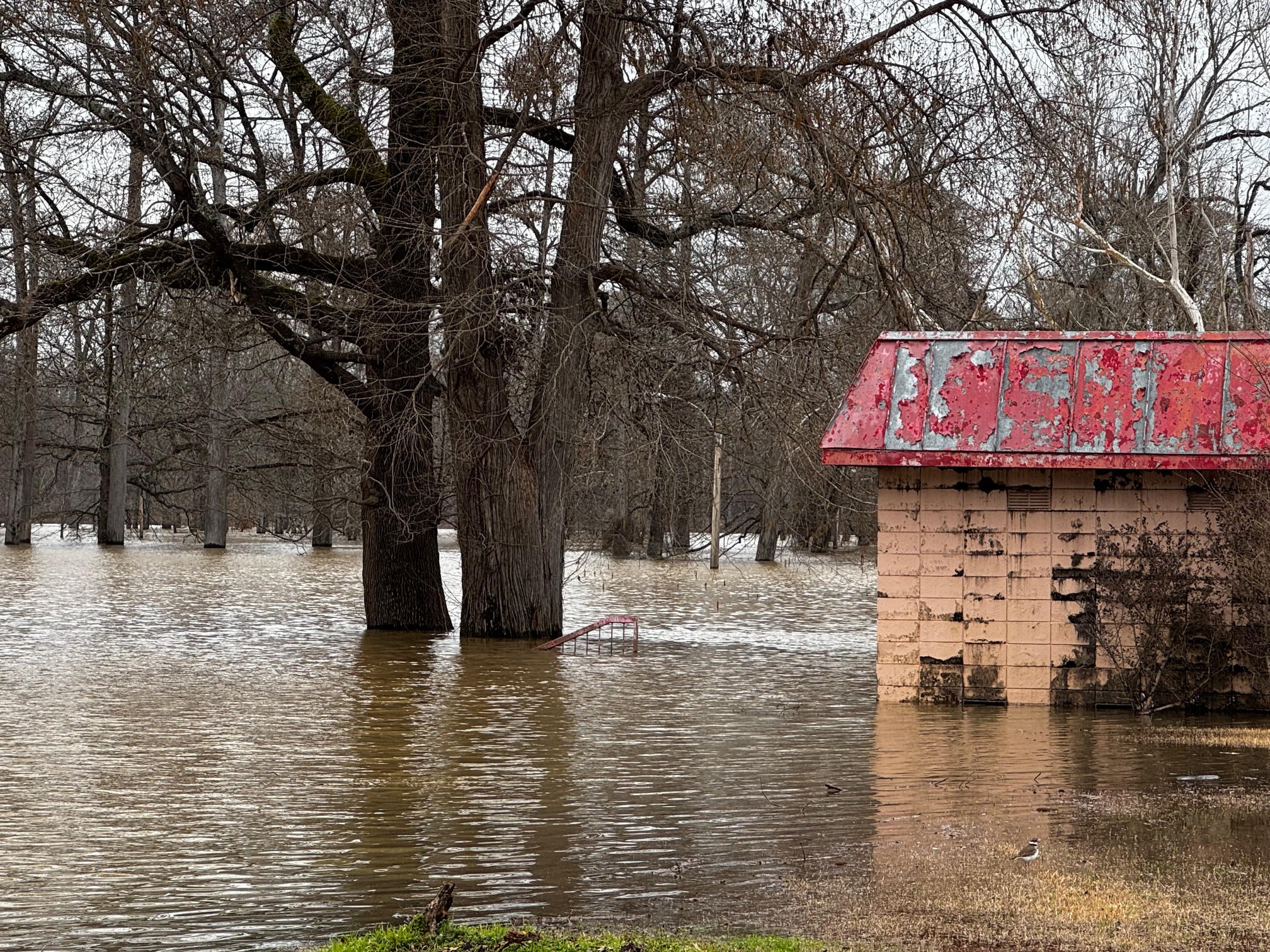 Ouachita River flooding affecting several counties | Camden News