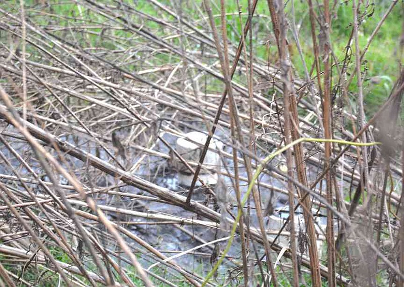 Arkansas Department of Environmental Quality places Dawn Hill sewer ...