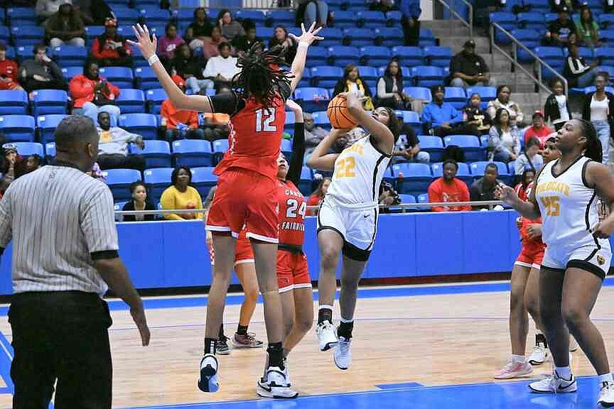 Lady Wildcats finish season with 63-51 loss | Pine Bluff Commercial News