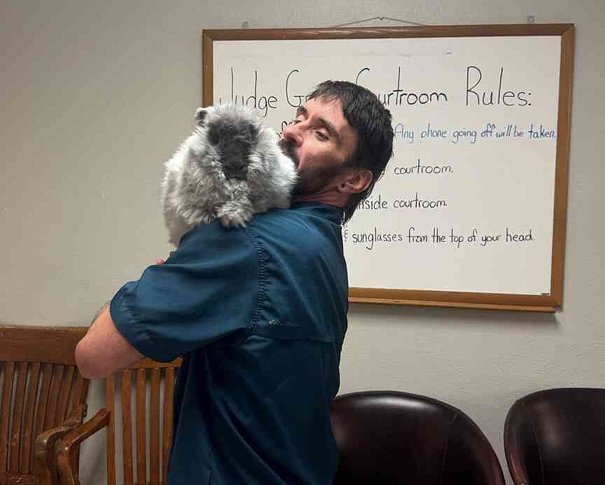 Rogers man takes rabbit with him everywhere — including to court ...
