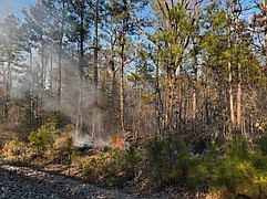 Local News | Camden News