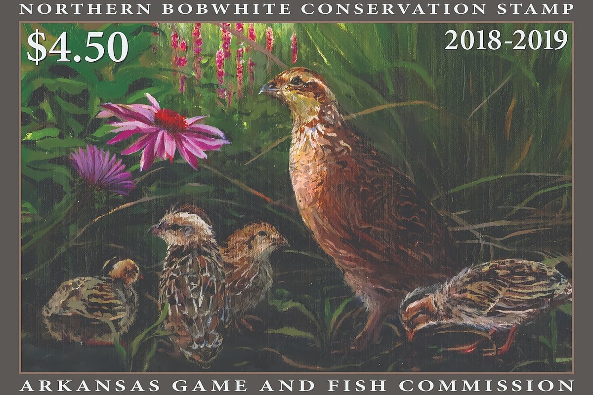 Arkansas quail and turkey stamp art unveiling to highlight Northwest ...