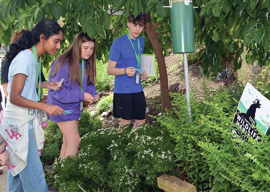 WATCH | ’Explore, learn, create’: ASMSA now accepting apps for summer ...