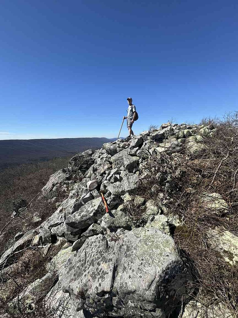 Black Fork Mountain Wilderness is a Natural State treasure | The ...