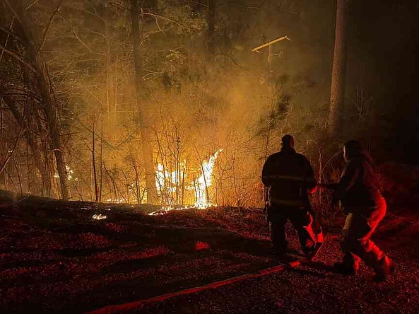 Homepage | Camden News