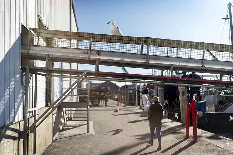 Ocean dumping – or a climate solution? A growing industry bets on the ...