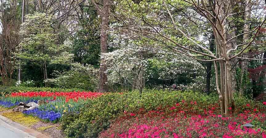 BREAKING GROUND: Ready, set, PLANT! | Northwest Arkansas Democrat-Gazette