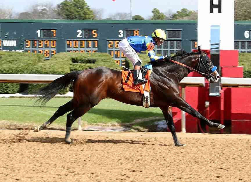 Baffert seeks Derby record with sixth win; Asmussen bids for 5th | Hot Springs Sentinel Record