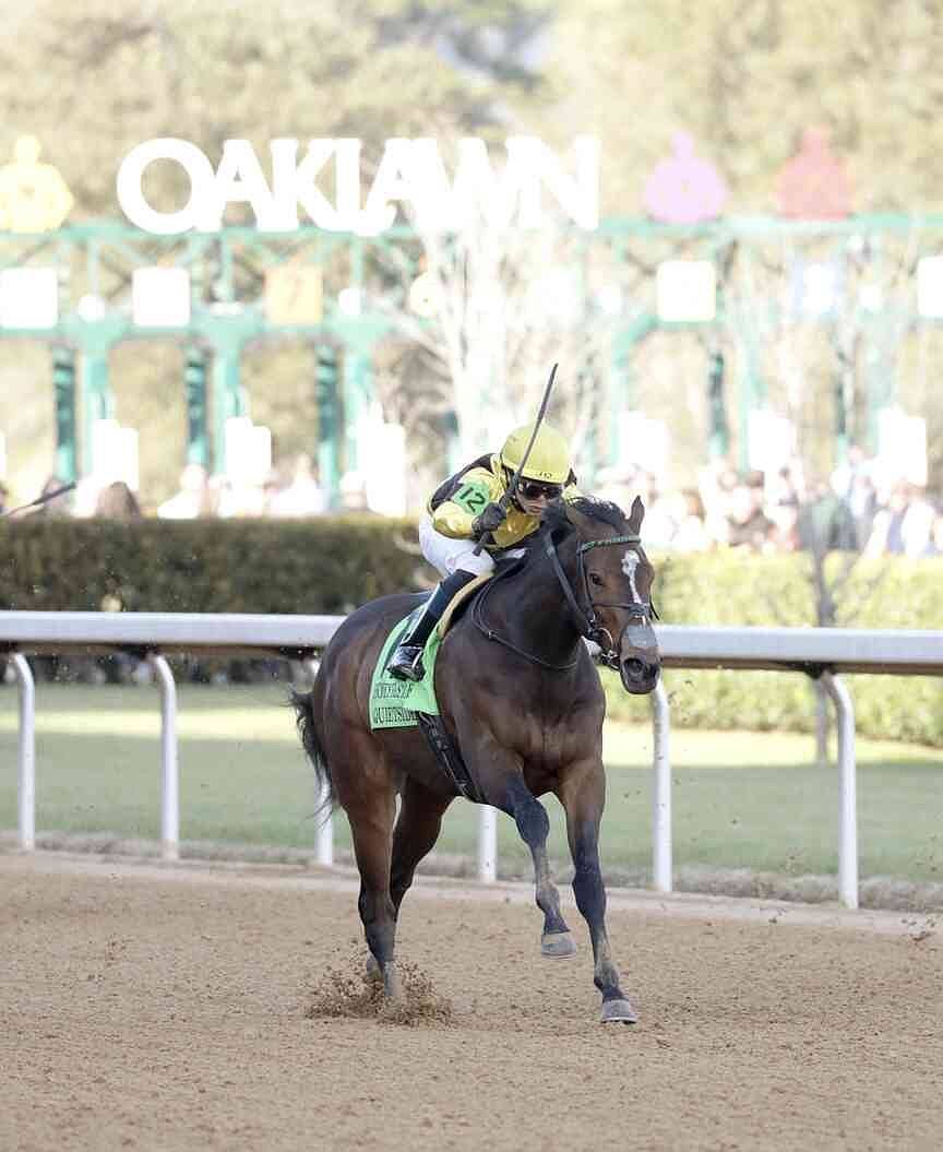 Now 53, Fantasy Stakes sees stature grow | Hot Springs Sentinel Record