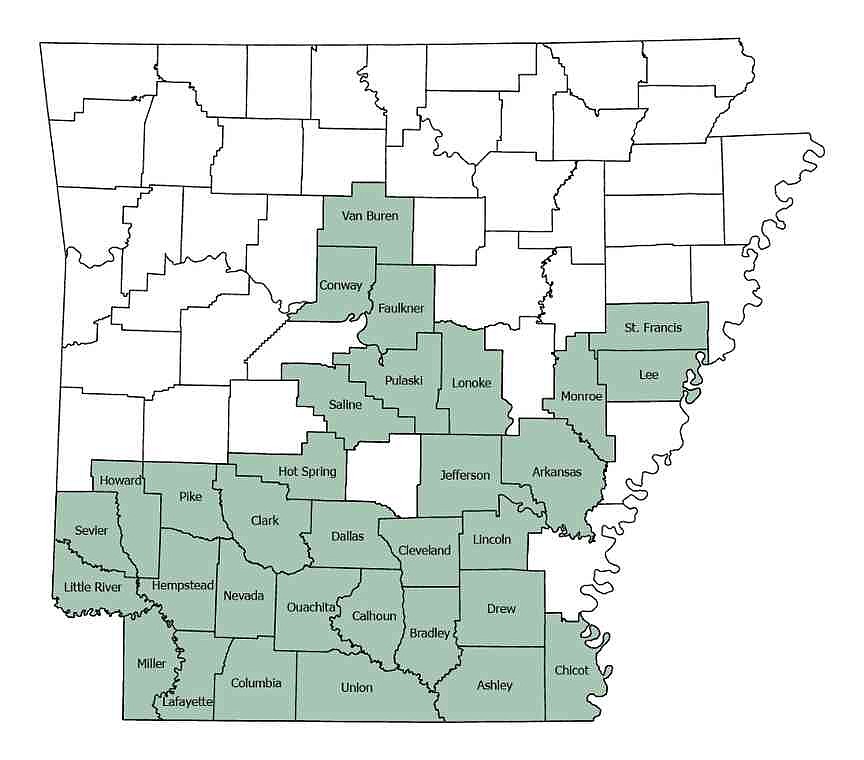 UAPB seeks new participants for sustainable forestry, land retention ...