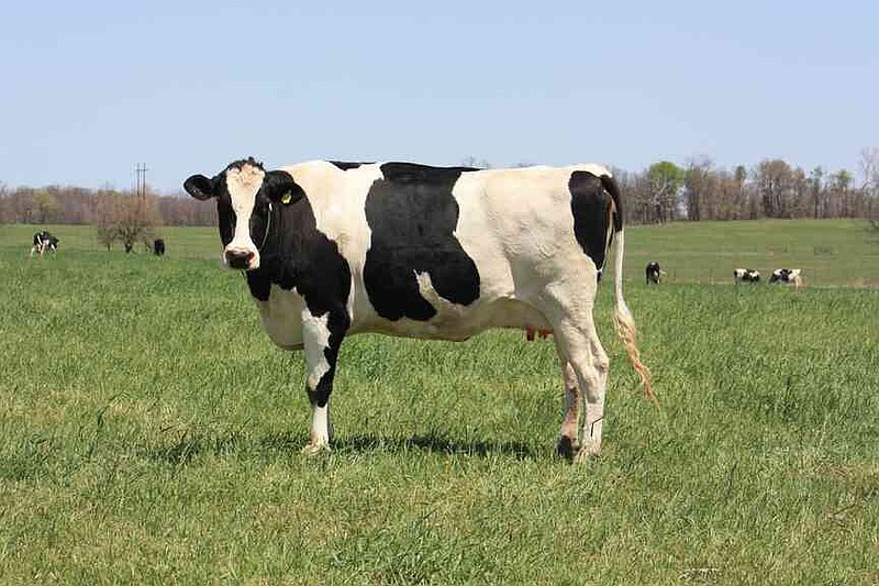 The farmer takes a wife | The Herald Leader