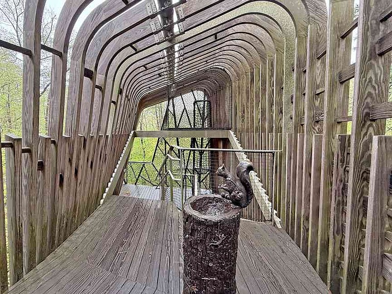 WATCH | Garvan Woodland Gardens launches nature-themed camps in June ...