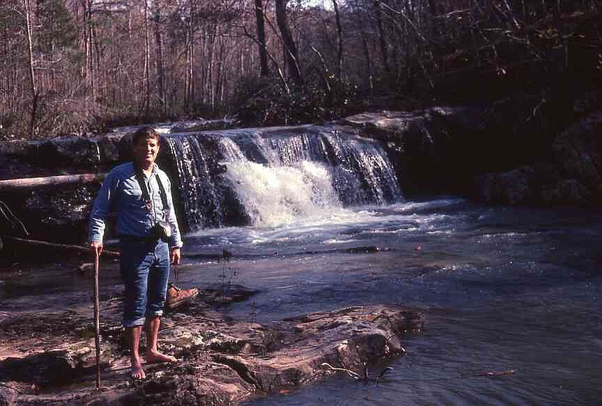 East Fork Wilderness Area shows the incredible ecology of Arkansas ...