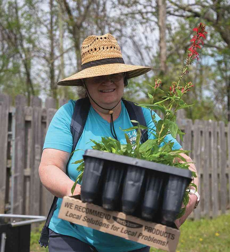 PHOTOS: Native plant sale in Bentonville | Northwest Arkansas Democrat ...