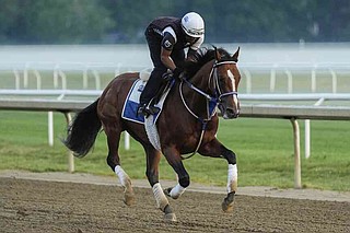 Derby winner Mystik Dan slotted for Oaklawn stake | Hot Springs ...