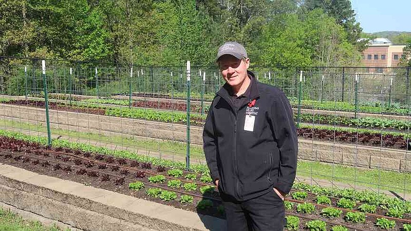 Healing power of plants: Arkansas Heart Hospital garden helps patients ...