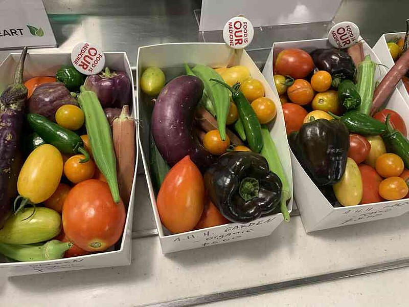 Healing power of plants: Arkansas Heart Hospital garden helps patients ...