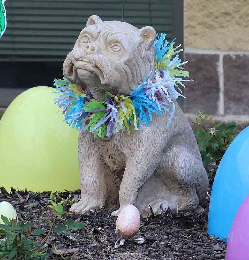 WH Bulldog at Easter | Pine Bluff Commercial News