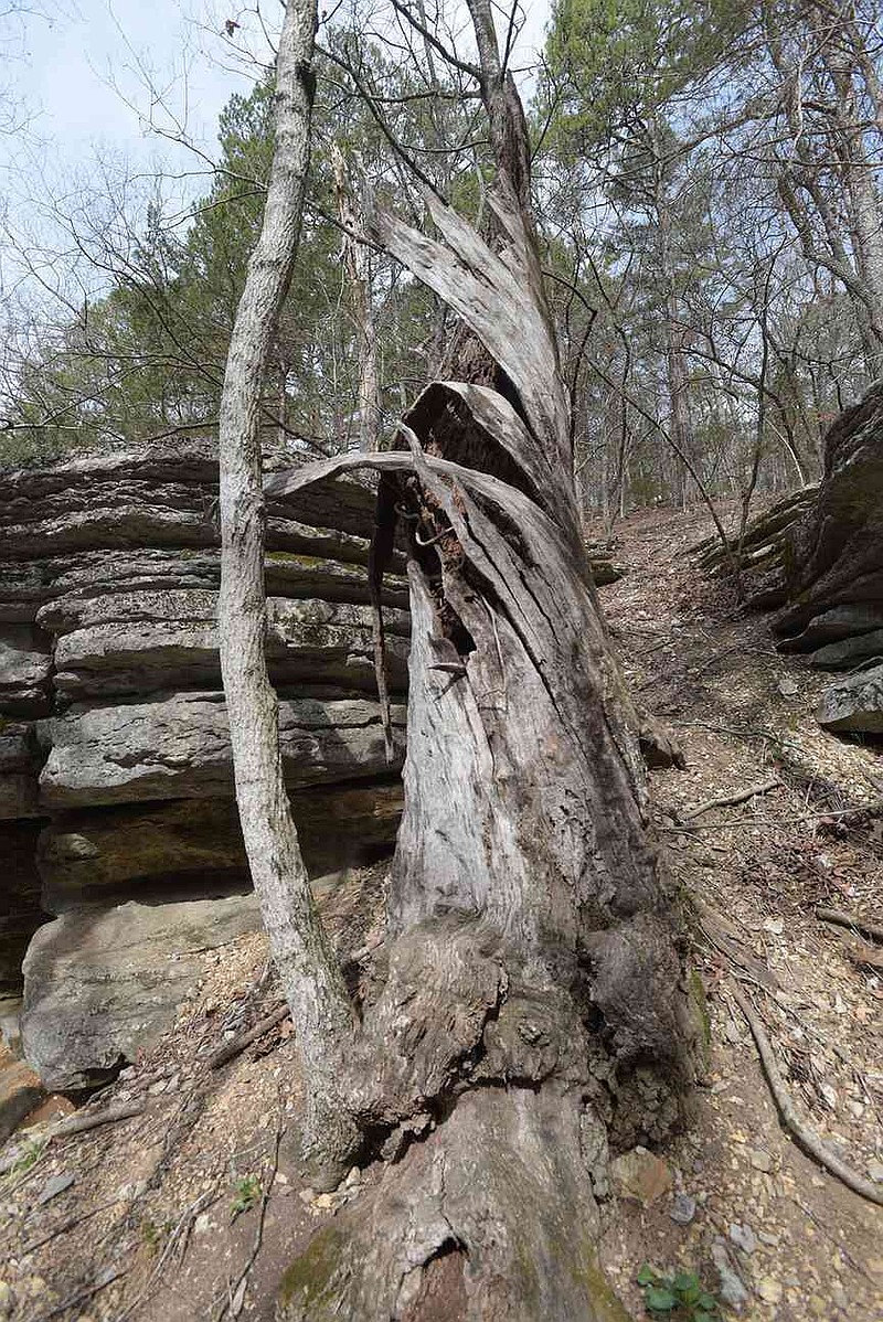 Black Bass Lake hidden gem for hiking, fishing in Eureka Springs ...
