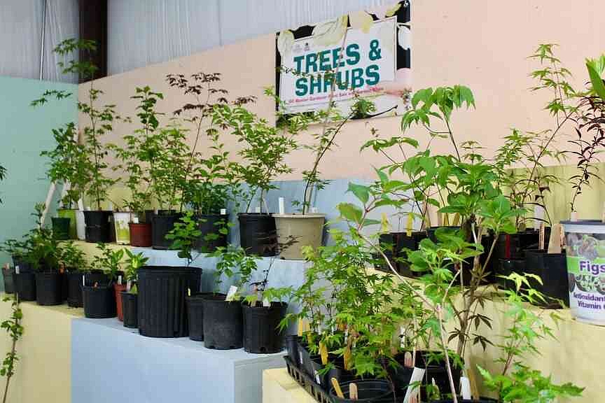 WATCH | Garland County Master Gardeners to host annual plant sale and ...