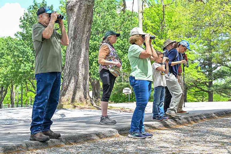 PHOTOS: Birders flock to Fayetteville for convention | The Arkansas Democrat-Gazette - Arkansas ...