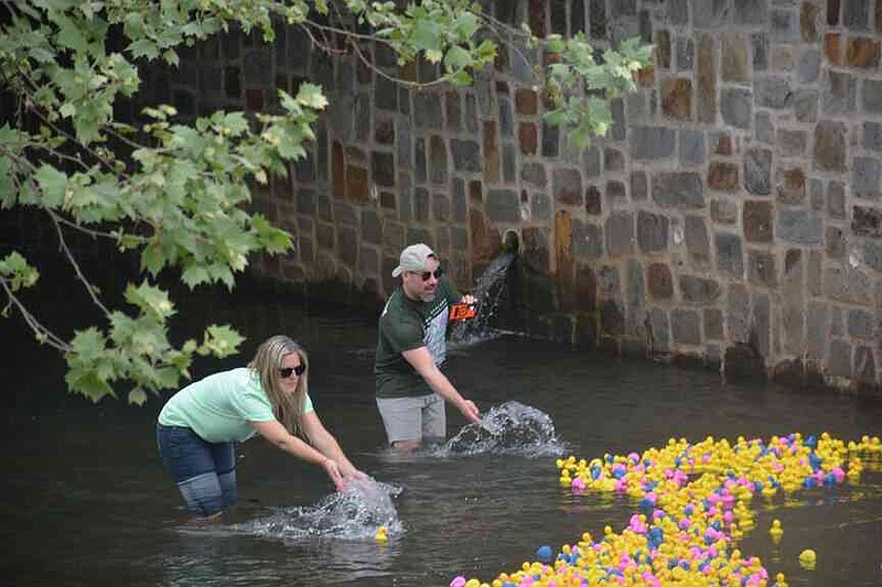Dogwood Festival thrills attendees for 51st year with food, fun and ...