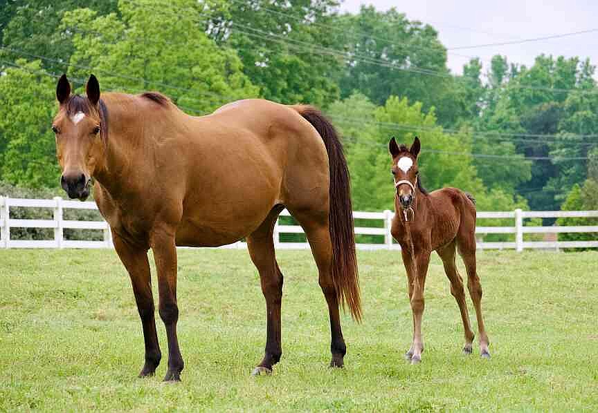 PHOTO | Welcome to the world | Texarkana Gazette