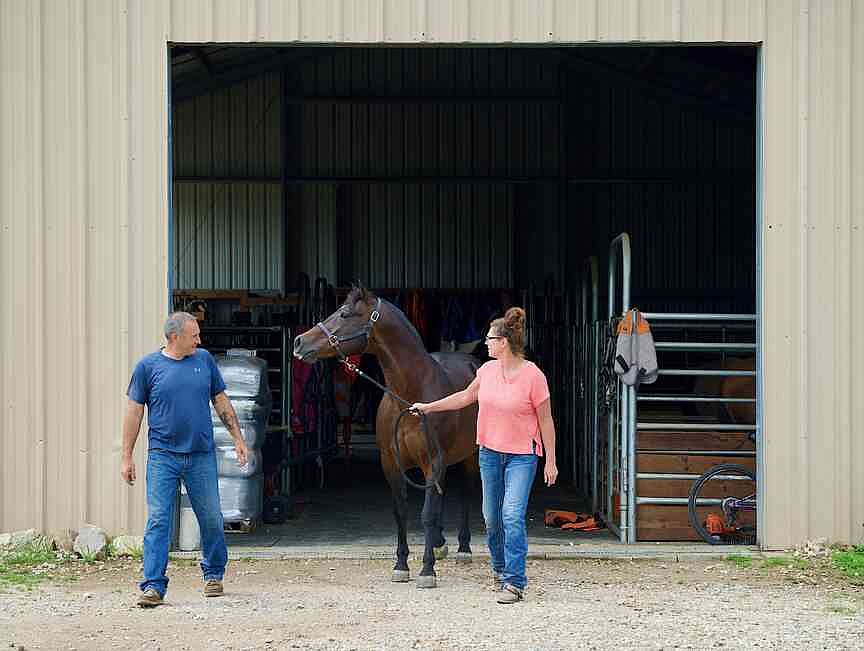 On the trot: Bowie County farm a place for colts, fillies to get some ...