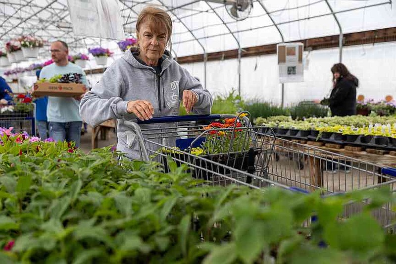 Serious gardeners get started early | Jefferson City News Tribune